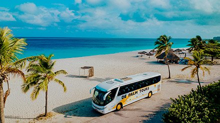 Oranjestad, crucero en Aruba | MSC Cruceros